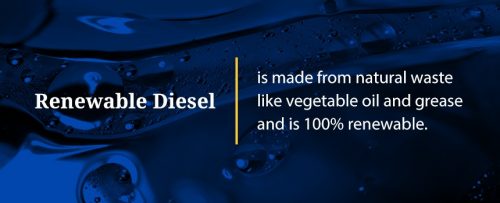 Renewable Diesel Versus Biodiesel: Which Is Right for Your Business?